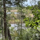 Doris Leeper Trail, Florida - 582 Reviews, Map | AllTrails