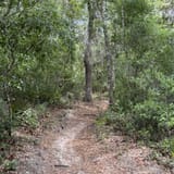 Doris Leeper Trail, Florida - 582 Reviews, Map | AllTrails