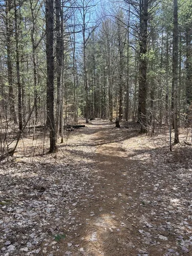 Best Hikes and Trails in Gaylord | AllTrails