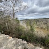 Raven Rock Loop Trail, North Carolina - 2,452 Reviews, Map | AllTrails
