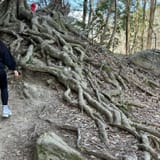 Raven Rock Loop Trail, North Carolina - 2,452 Reviews, Map | AllTrails