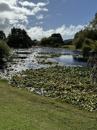 Best Hikes and Trails in Alice Eaves Scenic Reserve | AllTrails