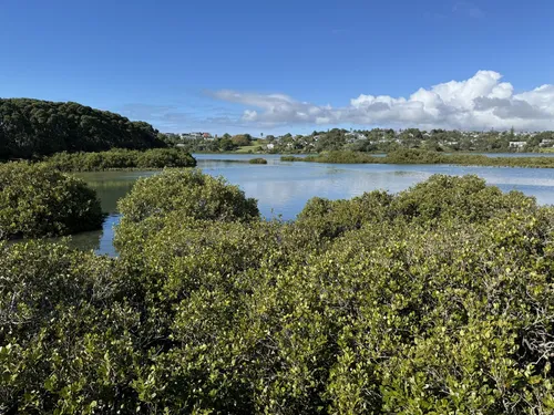 Best Hikes and Trails in Alice Eaves Scenic Reserve | AllTrails