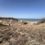 Indiana Dunes Trail 9, Indiana - 950 Reviews, Map | AllTrails