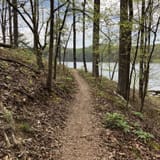 Dam Road, Issaqueena, Rocky and Collarbone Trail, South Carolina ...