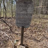 Panther Den Loop, Illinois - 1,021 Reviews, Map | AllTrails