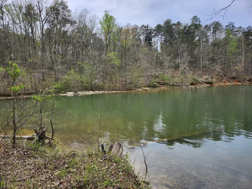 Best Lake Trails in Clemson Experimental Forest | AllTrails