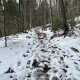 Lye Brook Falls Trail, Vermont - 2,828 Reviews, Map | AllTrails