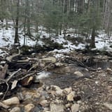 Lye Brook Falls Trail, Vermont - 2,828 Reviews, Map | AllTrails