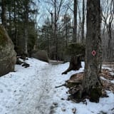 The Flume Gorge Trail, New Hampshire - 4,331 Reviews, Map | AllTrails