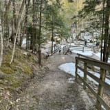 The Flume Gorge Trail, New Hampshire - 4,331 Reviews, Map | AllTrails