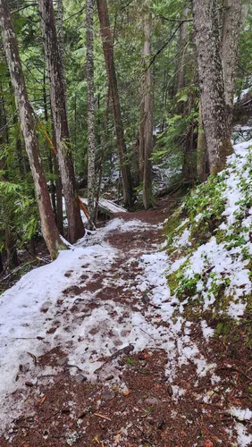 Best Lake Trails in Longmire | AllTrails