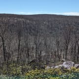 Wolf Rocks Trail, Pennsylvania - 1,377 Reviews, Map | AllTrails