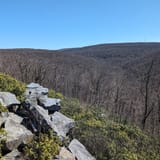 Wolf Rocks Trail, Pennsylvania - 1,377 Reviews, Map | AllTrails