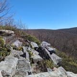 Wolf Rocks Trail, Pennsylvania - 1,377 Reviews, Map | AllTrails
