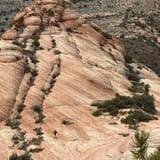 Yant Flats Trail, Utah - 1,254 Reviews, Map | AllTrails