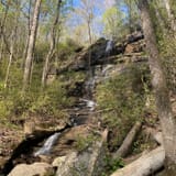 Hidden Falls Trail, South Carolina - 721 Reviews, Map | AllTrails