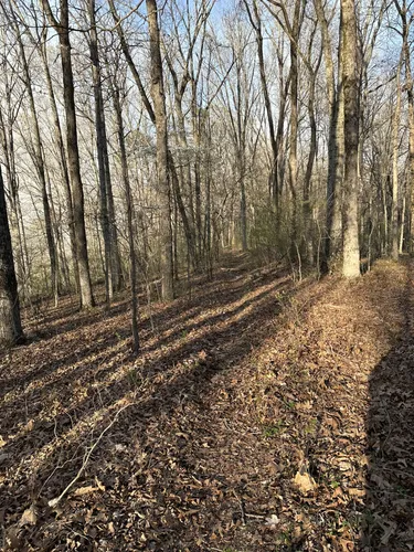 Best Hikes and Trails in Devils Backbone Wilderness | AllTrails