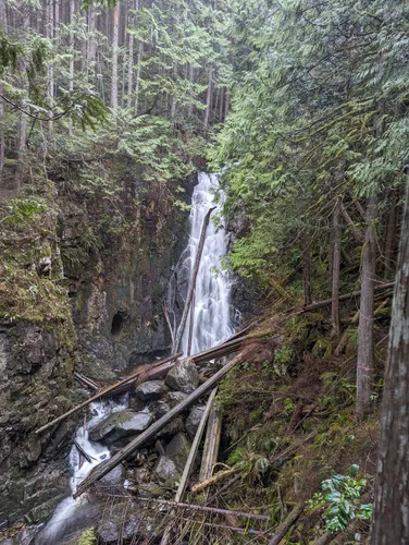 Best River Trails in Stave Falls | AllTrails