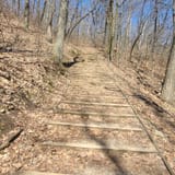 Parnell Tower Trail, Wisconsin - 846 Reviews, Map | AllTrails