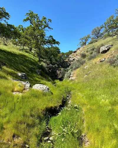 Best Moderate Trails in Pacheco State Park | AllTrails