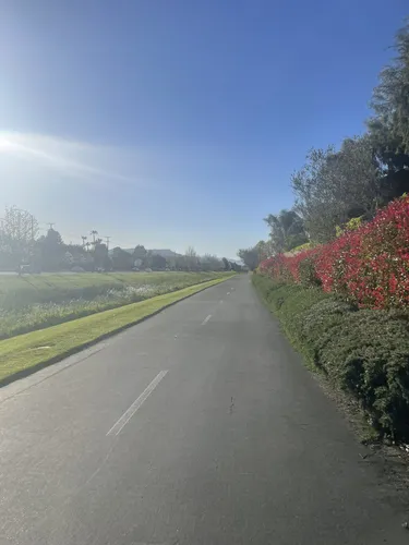 Best Hikes and Trails in Patricia H. Birdsall Sports Park | AllTrails