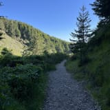 Alamere Falls via Coast Trail from Palomarin Trailhead, California ...