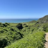 Alamere Falls via Coast Trail from Palomarin Trailhead, California ...