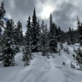 Bald Hills Loop, Alberta, Canada - 1,278 Reviews, Map | AllTrails