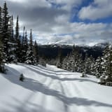 Bald Hills Loop, Alberta, Canada - 1,273 Reviews, Map | AllTrails