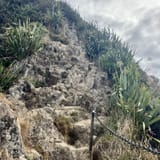 Paritutu Rock Trail, Taranaki, New Zealand - 137 Reviews, Map | AllTrails