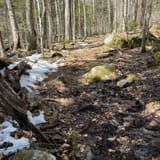 Indian Head Trail, New Hampshire - 1,376 Reviews, Map | AllTrails