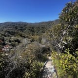 Murphy Ranch Trail, California - 3,726 Reviews, Map | AllTrails