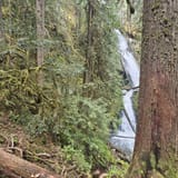 Murhut Falls Trail, Washington - 883 Reviews, Map | AllTrails
