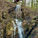 Foxfire Mountain Trail, Tennessee - 68 Reviews, Map | AllTrails