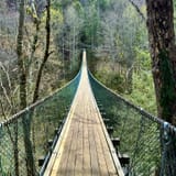 Foxfire Mountain Trail, Tennessee - 48 Reviews, Map | AllTrails