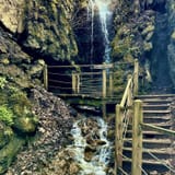 Foxfire Mountain Trail, Tennessee - 68 Reviews, Map | AllTrails