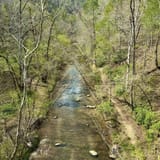 Foxfire Mountain Trail, Tennessee - 51 Reviews, Map | AllTrails