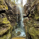 Foxfire Mountain Trail, Tennessee - 68 Reviews, Map | AllTrails