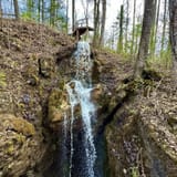 Foxfire Mountain Trail, Tennessee - 68 Reviews, Map | AllTrails