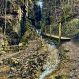 Foxfire Mountain Trail, Tennessee - 68 Reviews, Map | AllTrails