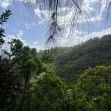 Makiki Valley Loop, Oahu, Hawaii - 5,653 Reviews, Map | AllTrails