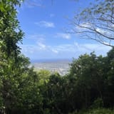 Makiki Valley Loop, Oahu, Hawaii - 5,653 Reviews, Map | AllTrails