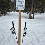Chickadee Ridge via Tahoe Rim Trail, Nevada - 2,396 Reviews, Map ...