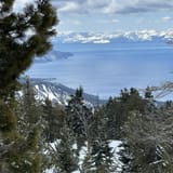 Chickadee Ridge via Tahoe Rim Trail, Nevada - 2,396 Reviews, Map ...