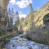 Rapid River Trail, Idaho - 260 Reviews, Map | AllTrails