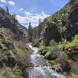 Rapid River Trail, Idaho - 233 Reviews, Map | AllTrails