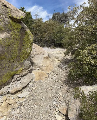 Best Easy Trails in Portal | AllTrails