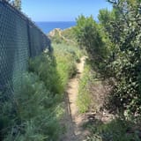 Saigon Trail, California - 1,550 Reviews, Map | AllTrails