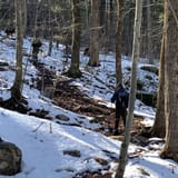 Echo Lake, New York - 480 Reviews, Map | AllTrails